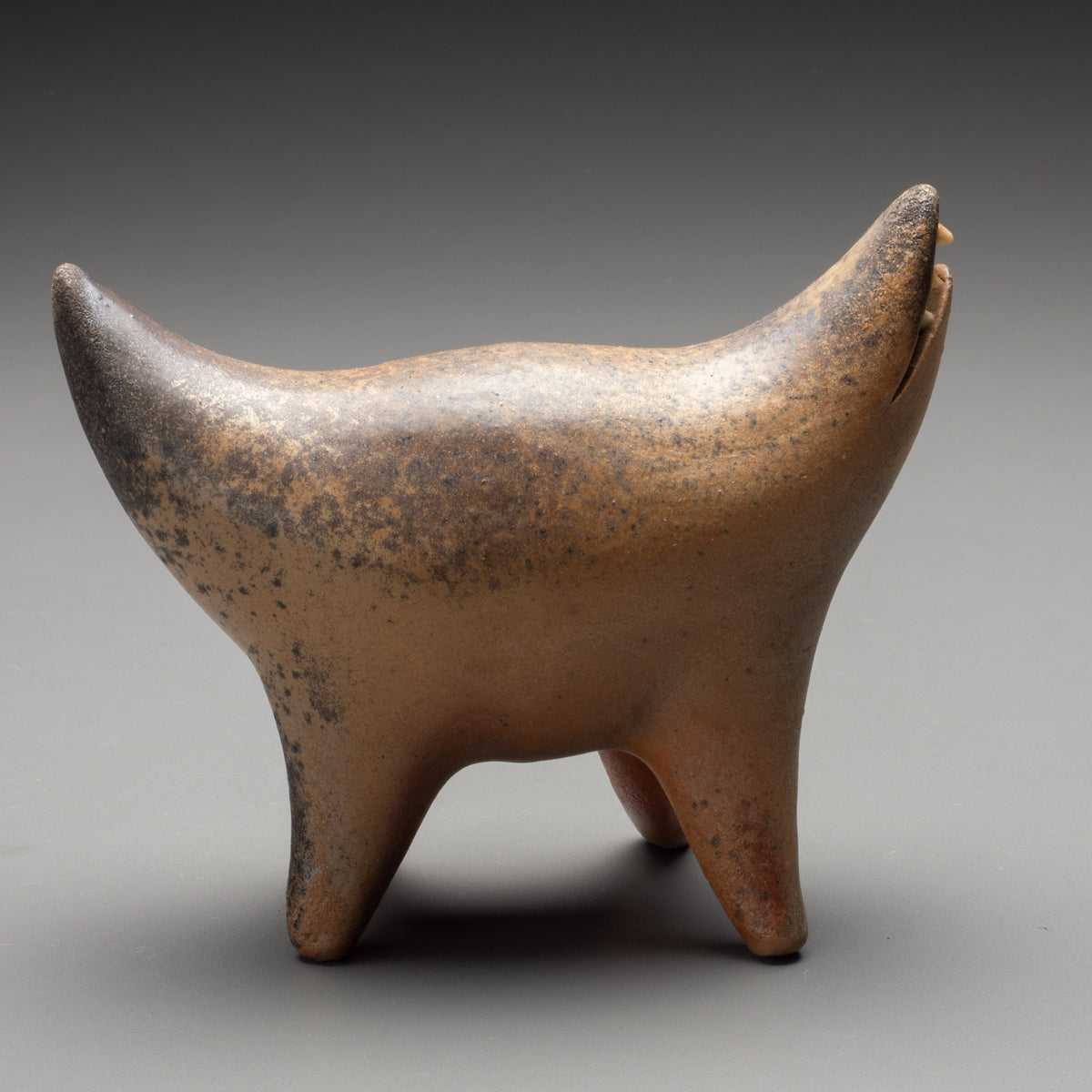 "The Beast That Follows the Arc of the Sun" - Eva Funderburgh ...