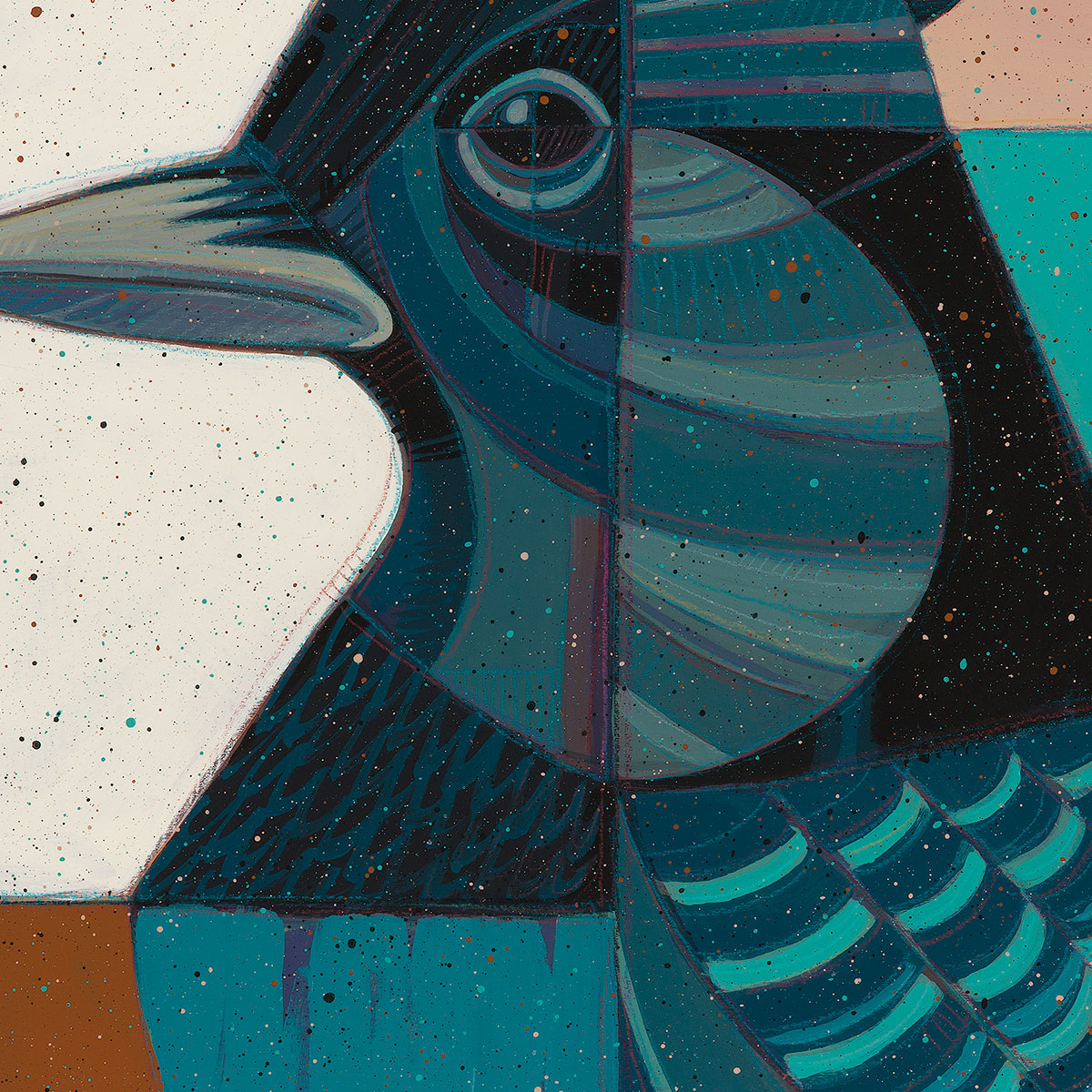 Steller's Jay - Erik Abel – Archimedes Gallery