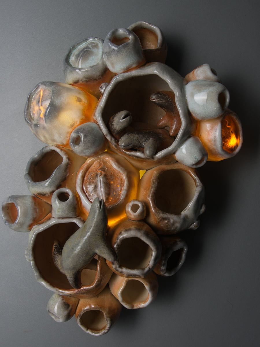 Large Barnacle Cluster - Eva Funderburgh – Archimedes Gallery