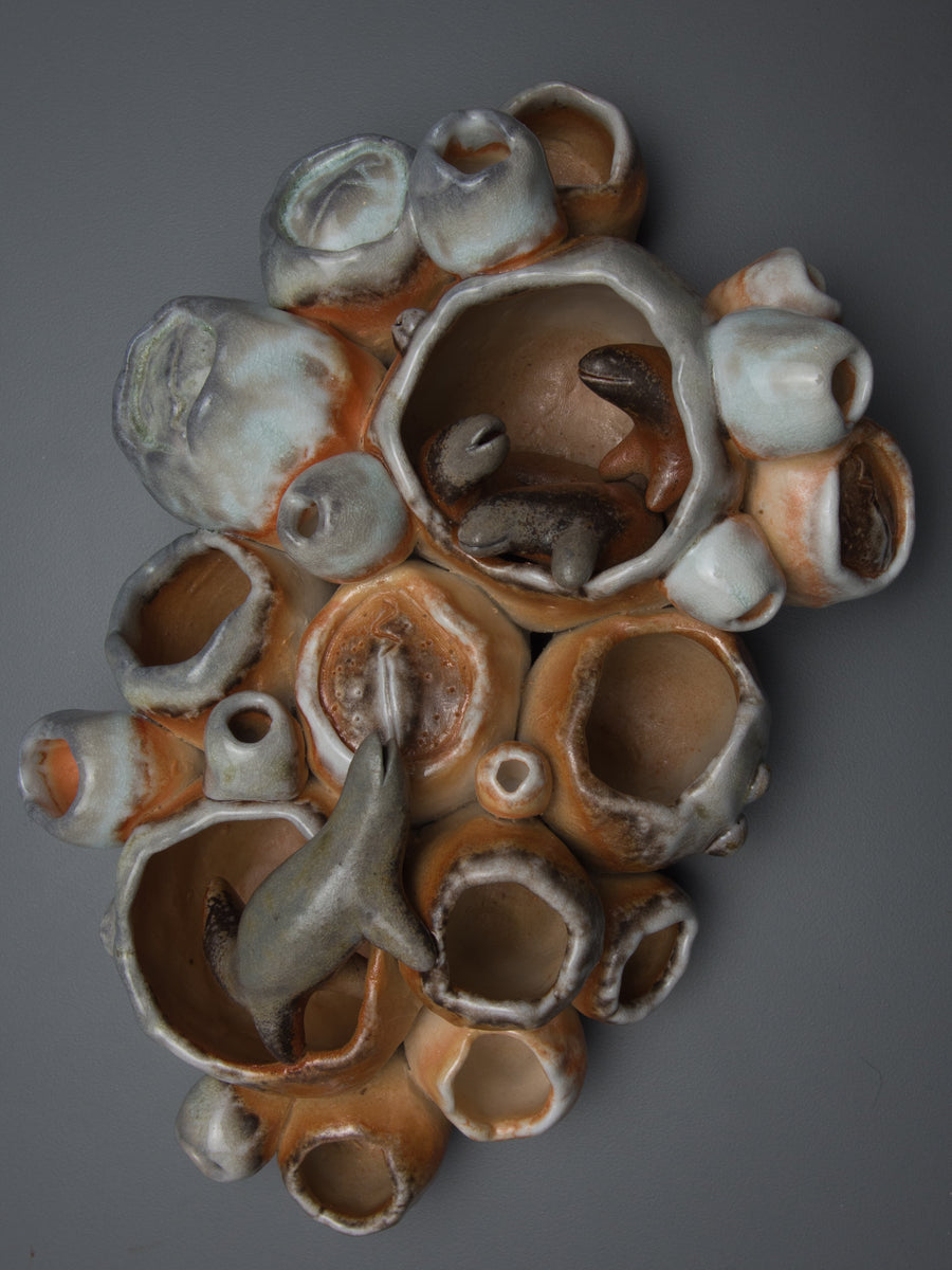 Large Barnacle Cluster - Eva Funderburgh – Archimedes Gallery